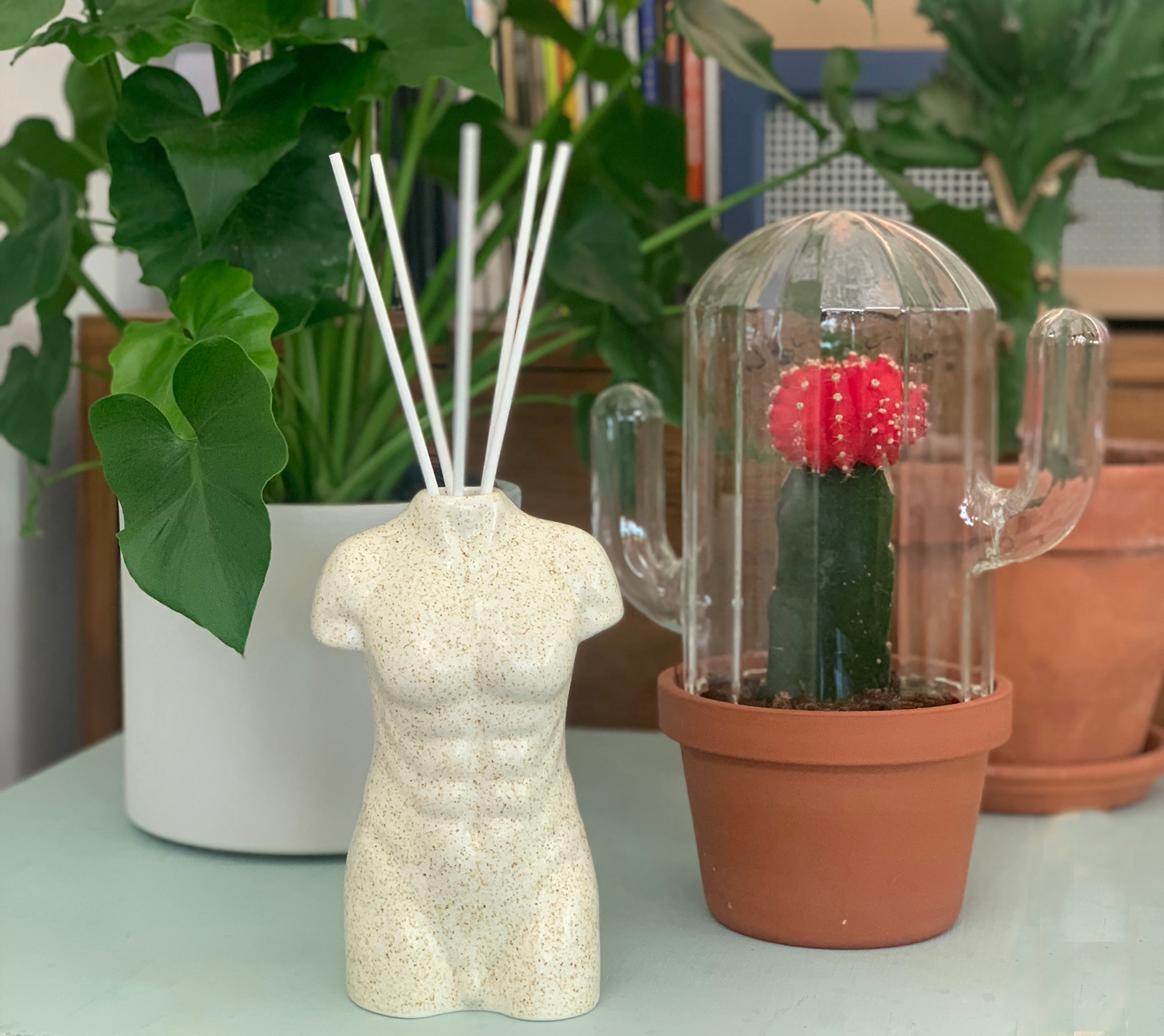 Adonis Home Oil Diffuser with 40 ml oil + 5 sticks – BITTEN BV